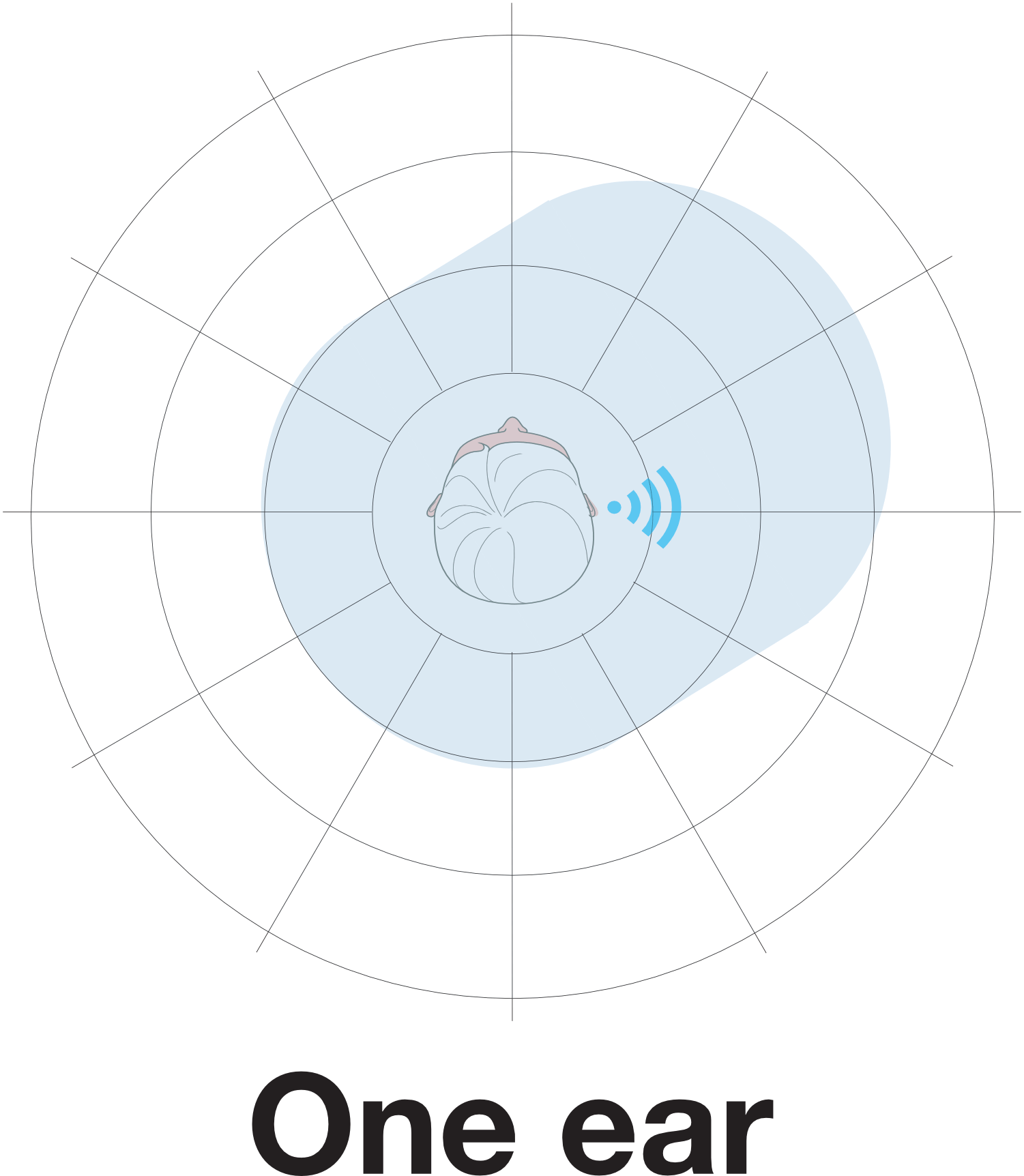 Hearing Aids | Improve Your Hearing Loss | Sound Advice Hearing Ltd