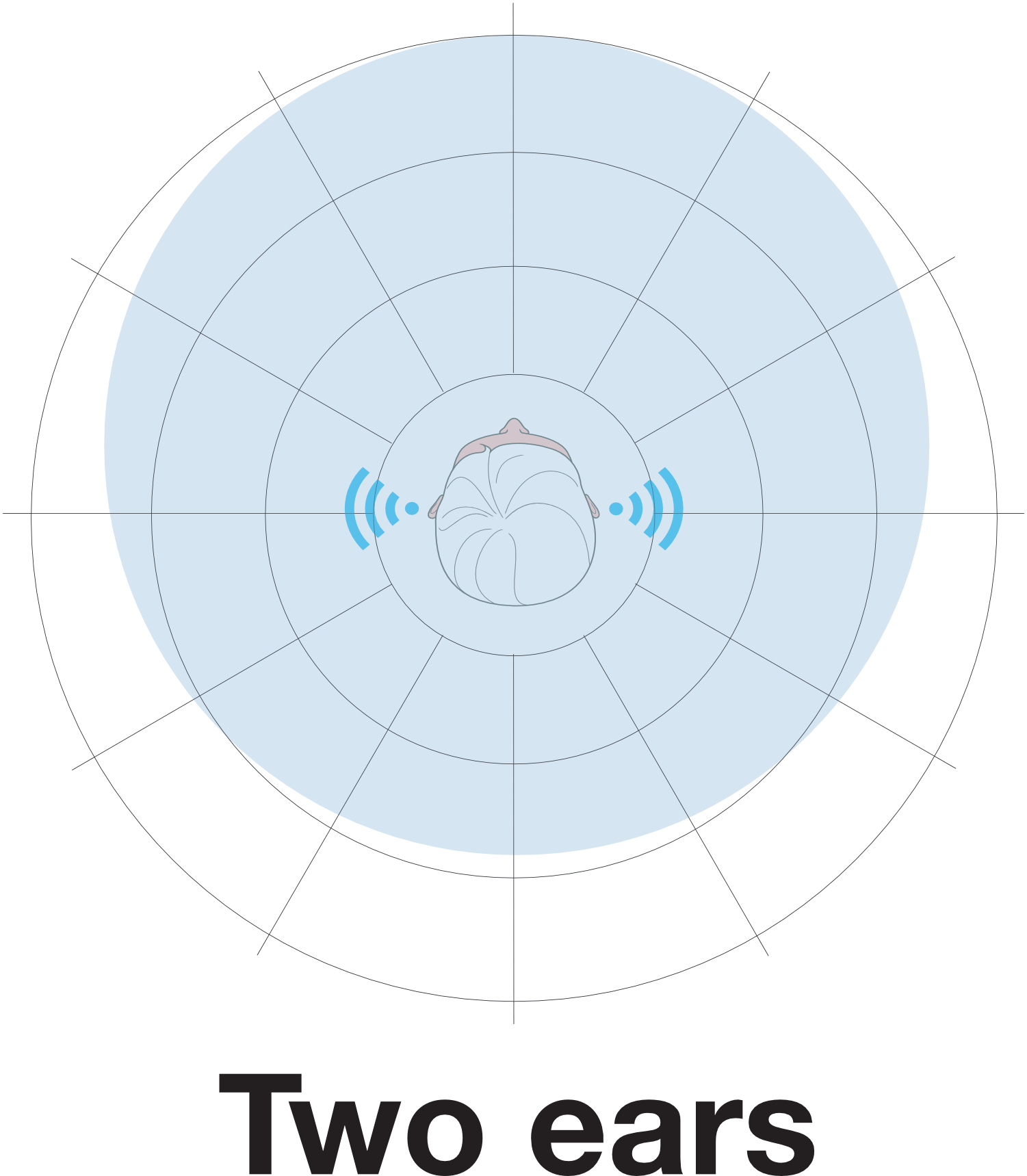Hearing Aids | Improve Your Hearing Loss | Sound Advice Hearing Ltd